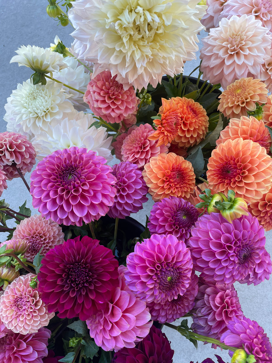 Signature Arrangements – Meraki Floral Co.